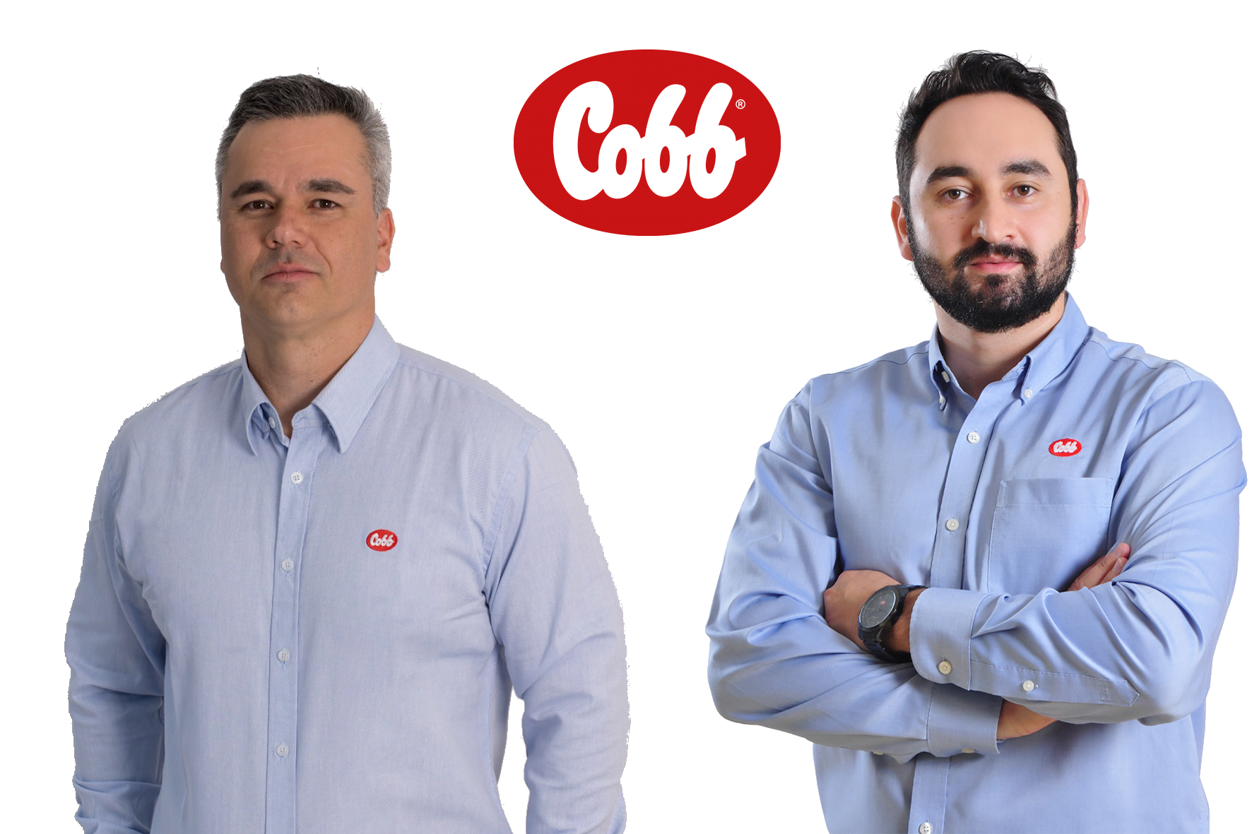 Cobb-Vantress apresenta incubação e manejo com foco em otimização de ...